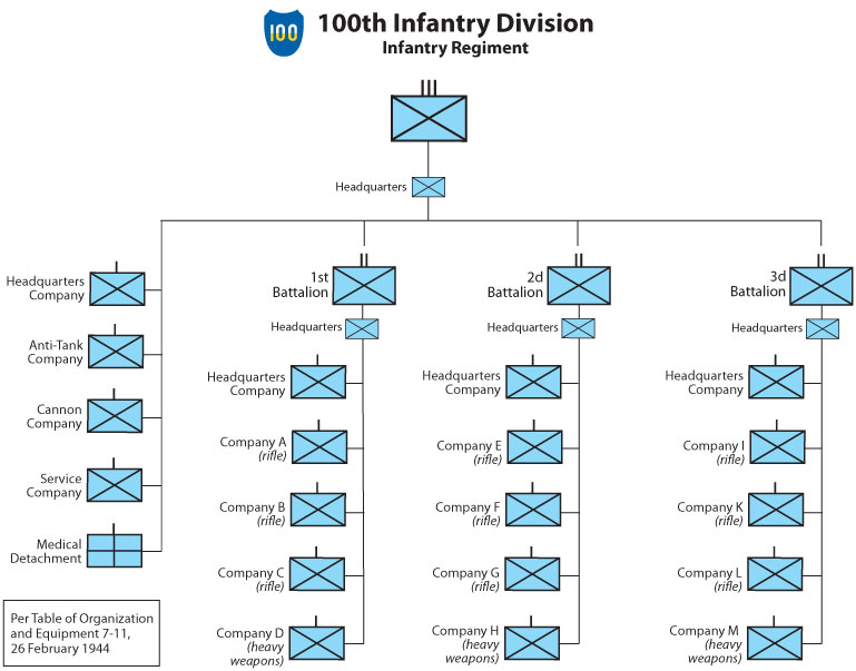 Tables of Organization - 100th Infantry Division